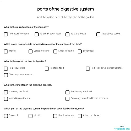 parts ofthe digestive system. Interactive worksheet | TopWorksheets