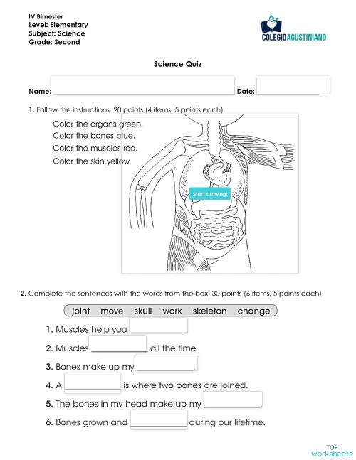 Science - Quiz 1. Interactive worksheet | TopWorksheets