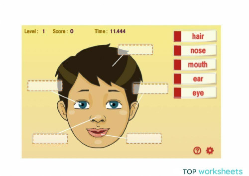 Face parts. Interactive worksheet | TopWorksheets
