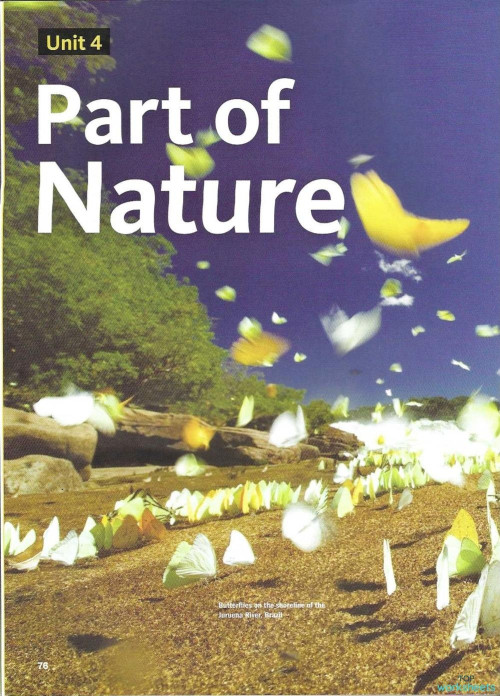 Unit 4: first & second class. Interactive worksheet | TopWorksheets