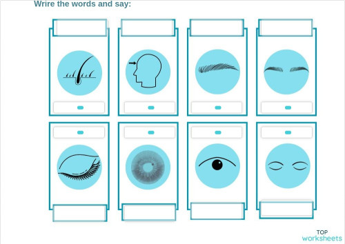 Parts of the face /Spelling and Speaking. Interactive worksheet ...