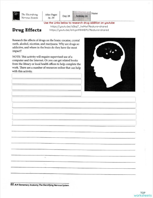 Activity 18: Drug Effects Pg 80. Interactive worksheet | TopWorksheets