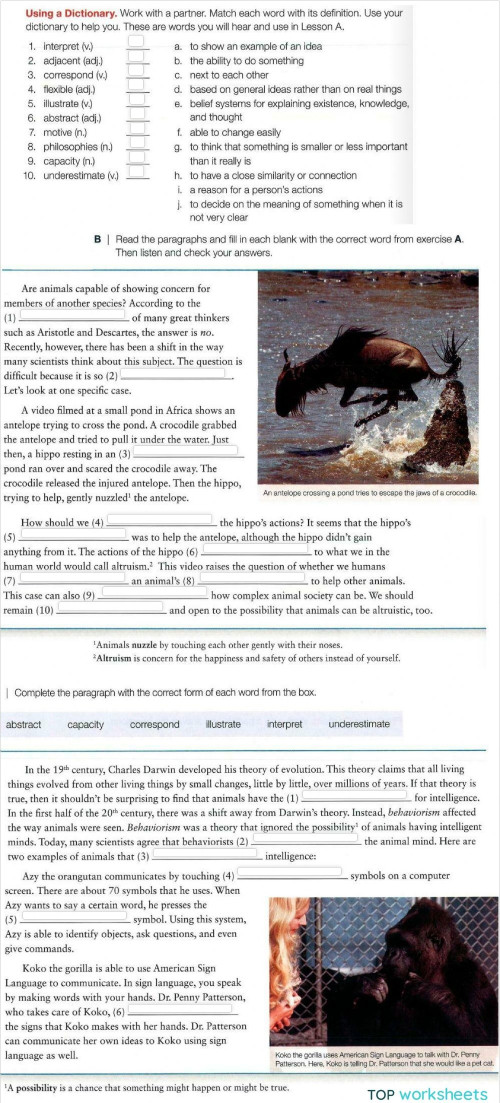 Other: interactive worksheets and online exercises | TopWorksheets