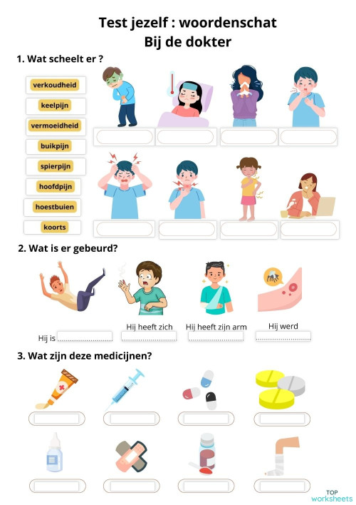 Nederlands: interactive worksheets and online exercises | TopWorksheets