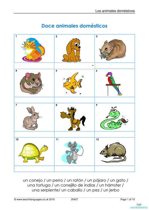 Animales test. Ficha interactiva | TopWorksheets