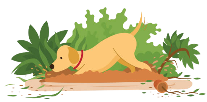 Lesson I11 (Level 1). Interactive worksheet | TopWorksheets