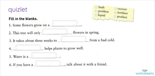 growing roses. Interactive worksheet | TopWorksheets