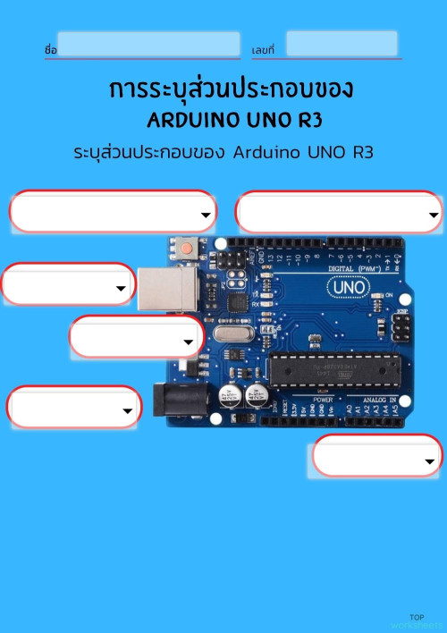 ใบงานที่ 2 Drop Down ใบงานเชิงโต้ตอบ | TopWorksheets