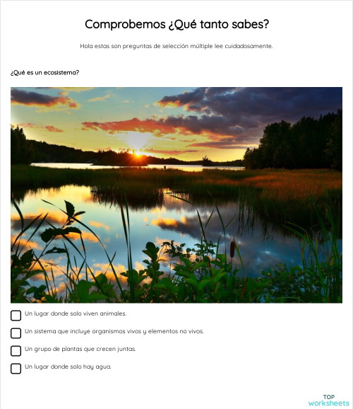 Estaciones. Ficha interactiva | TopWorksheets