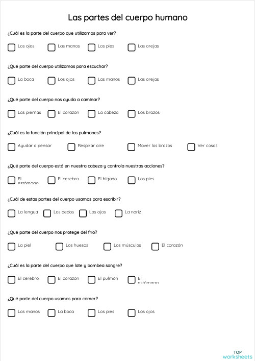 Las partes del cuerpo humano. Ficha interactiva | TopWorksheets