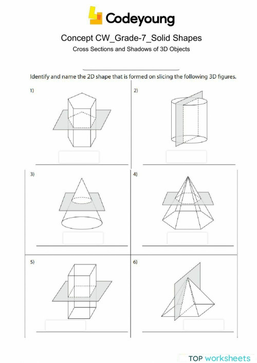 Cross Sections and Shadows of 3D Objects Concept CW. Interactive ...