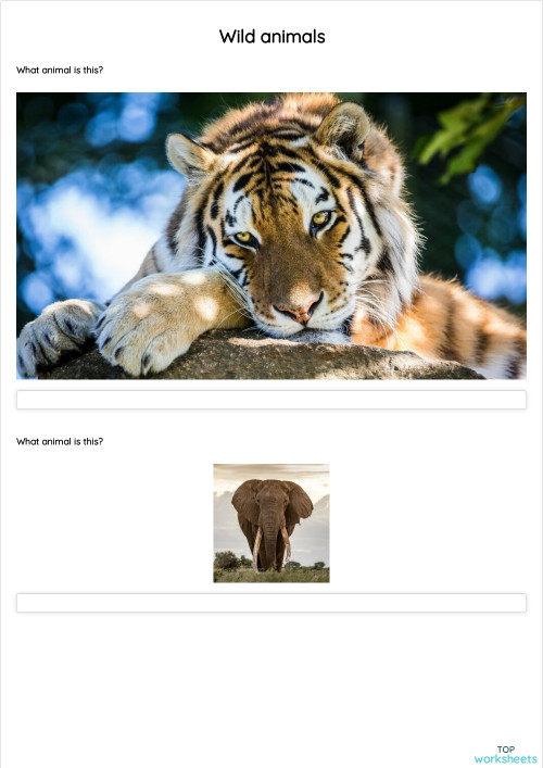 Wild animals. Interactive worksheet | TopWorksheets