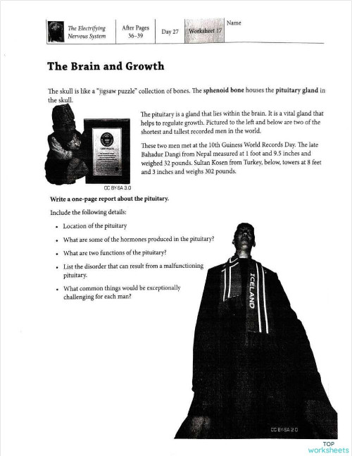 Worksheet 17: The Brain and Growth Pg 79. Interactive worksheet ...