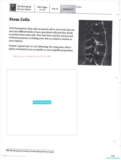Activity 26: Stem Cells Pg 94. Interactive worksheet | TopWorksheets