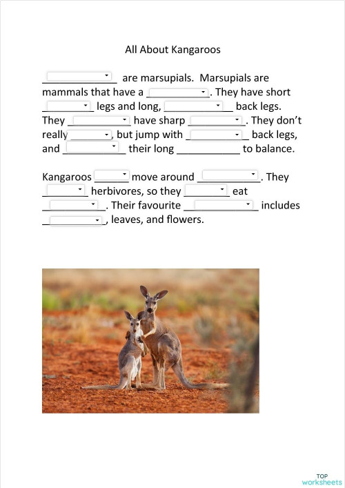 Learn about Kangaroos. Interactive worksheet | TopWorksheets
