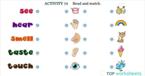 KB106 Section 3 Activity 14. Interactive worksheet | TopWorksheets