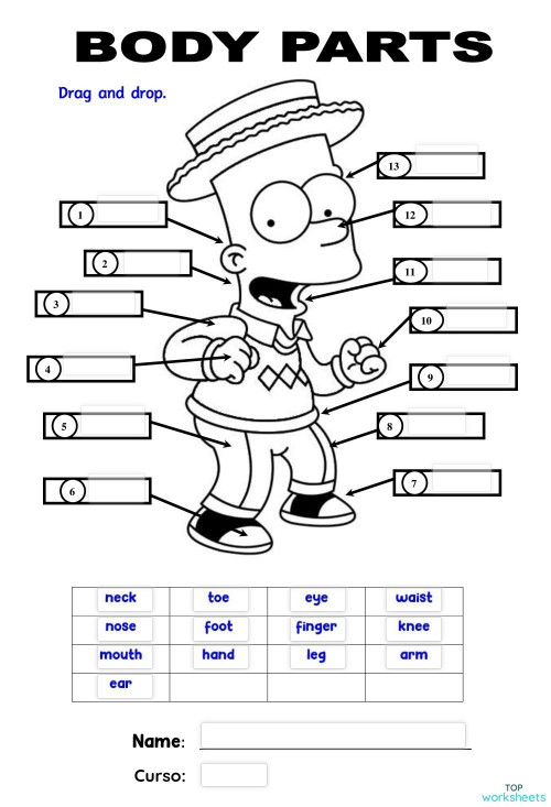 Body Parts. Interactive worksheet | TopWorksheets