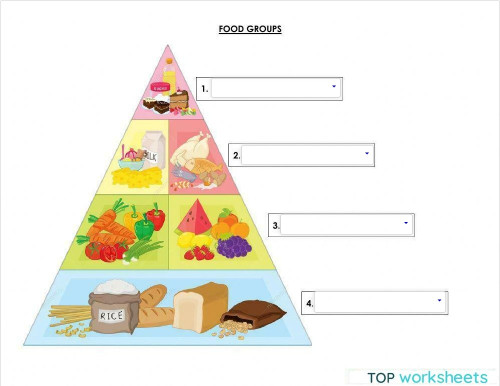 Different Types of Food. Interactive worksheet | TopWorksheets