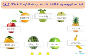 Interactive worksheets and online exercises in vietnamese | TopWorksheets
