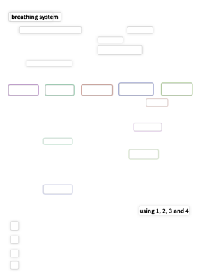 Week 38 - Wed : Breathing System. Interactive worksheet | TopWorksheets