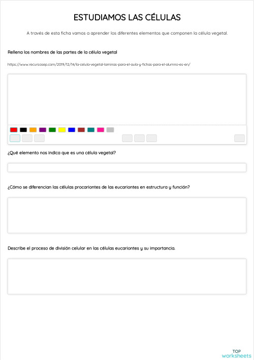 ESTUDIAMOS LAS CÉLULAS. Ficha interactiva | TopWorksheets