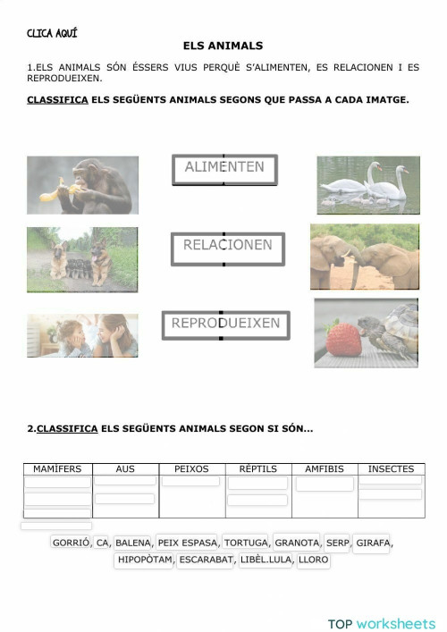 Els animals. Fitxa interactiva | TopWorksheets