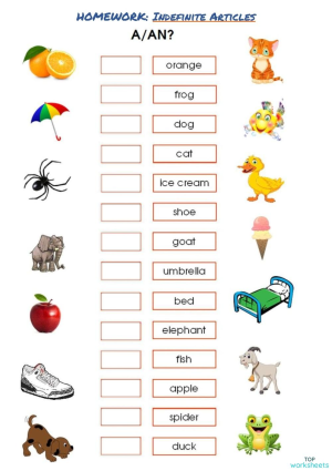 HOMEWORK: Indefinite Articles. Interactive worksheet | TopWorksheets