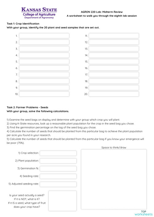 Lab 8: Midterm Review. Interactive worksheet | TopWorksheets