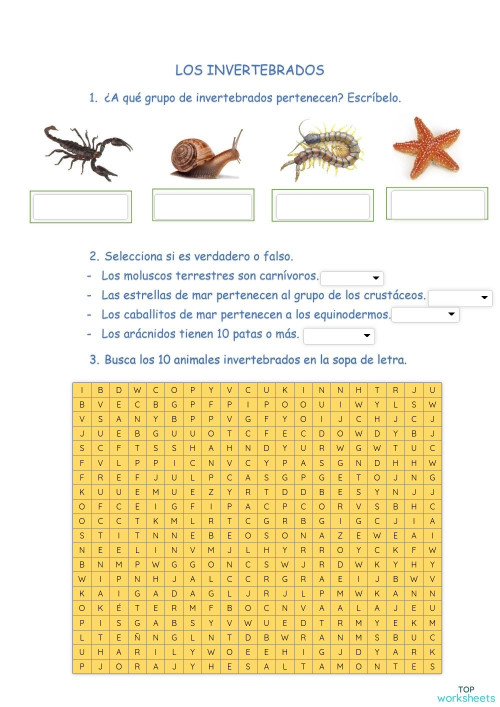 Tabla 3 Hoja De Trabajo Sobre Invertebrados