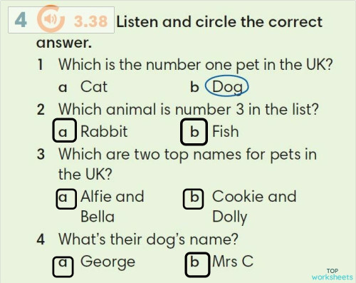 Unit 7 PETS. Interactive worksheet | TopWorksheets