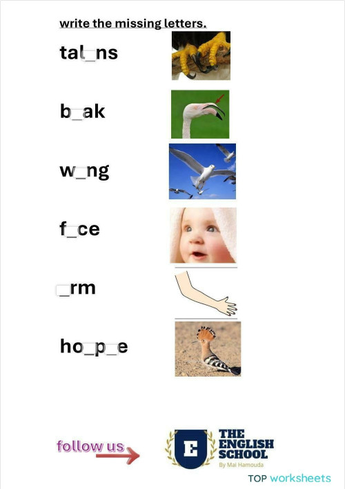 connect plus 2. Interactive worksheet | TopWorksheets