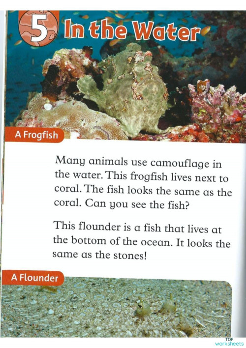 Mar 25_Camouflage Chapter 5. Interactive worksheet | TopWorksheets