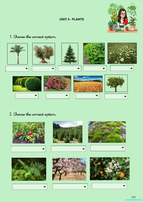 Natural science: interactive worksheets and online exercises ...