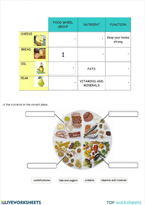 Food groups and nutrients. Interactive worksheet | TopWorksheets
