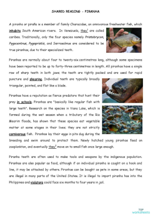 Eng Y6 W36 T2 - Piranha Reading Comprehension. Interactive worksheet ...