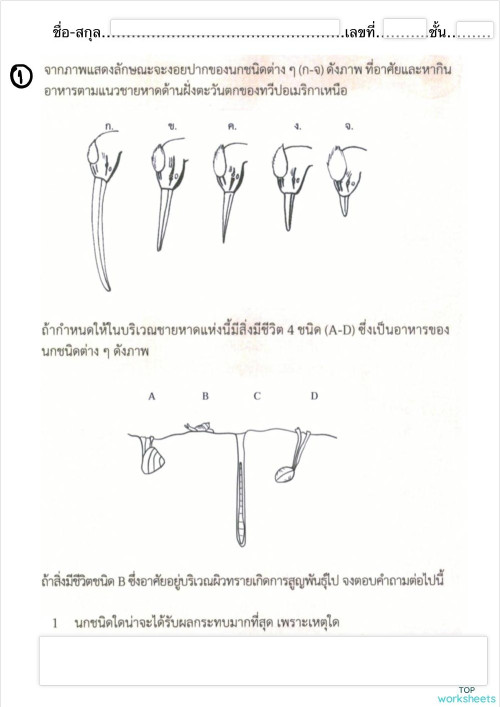biology CRMS6's public page | TopWorksheets