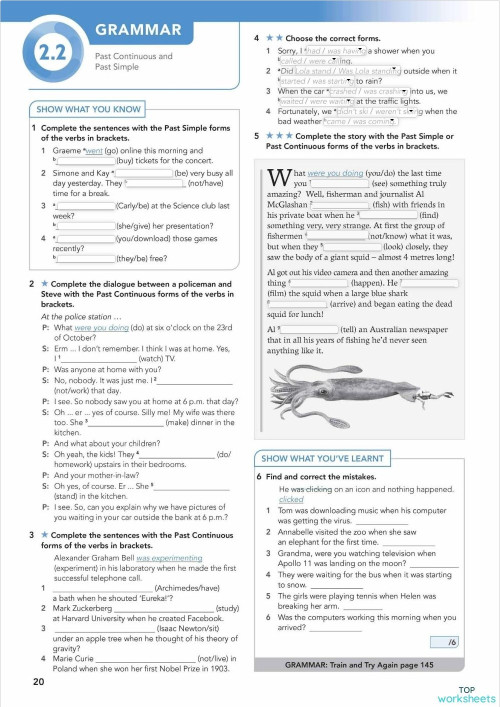 U2 2.2 GRAMMAR. Interactive worksheet | TopWorksheets
