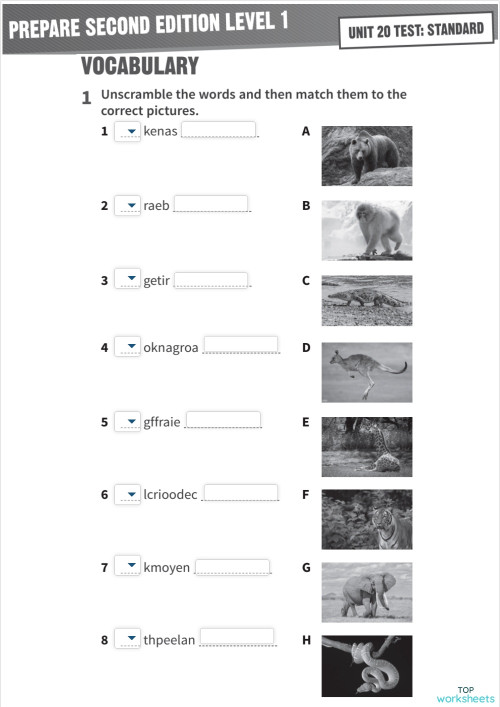 UNIT 20 STANDARD. Interactive worksheet | TopWorksheets