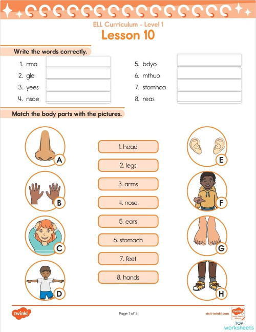 Body Parts Vocabulary A1+. Interactive worksheet | TopWorksheets