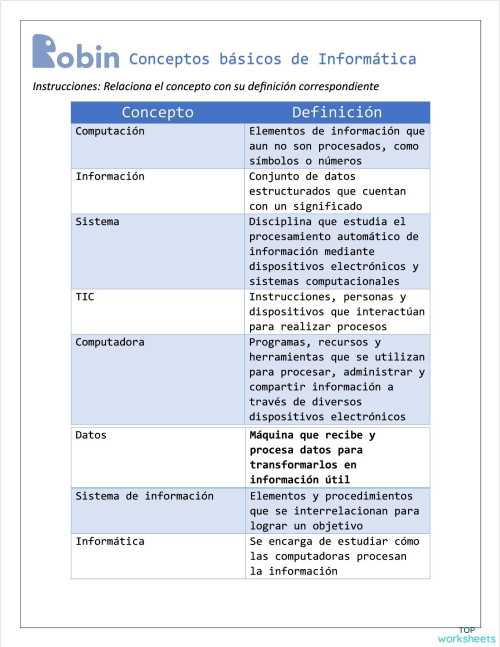 Conceptos básicos de informática. Ficha interactiva | TopWorksheets