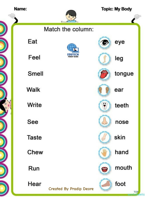 Match the column parts of body and work. Interactive worksheet ...