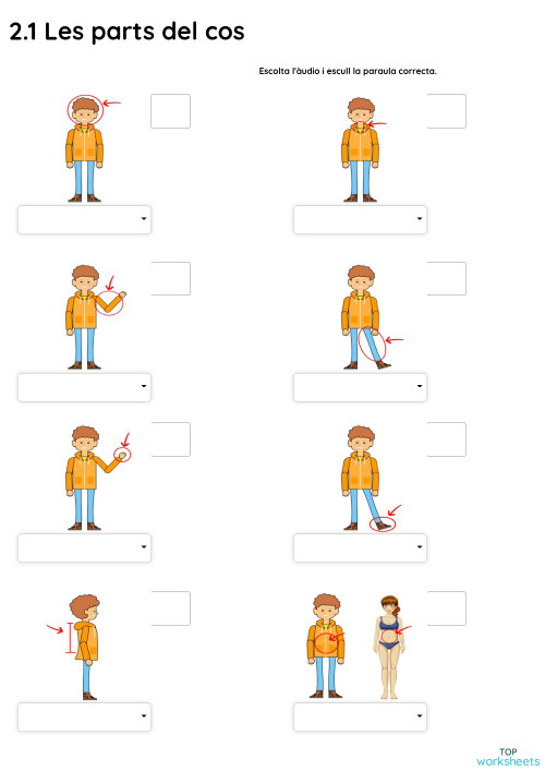 2.1 Les parts del cos. Fitxa interactiva | TopWorksheets