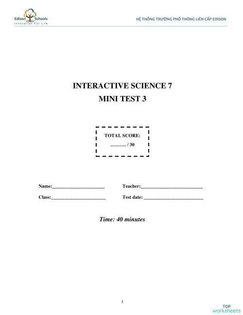 Grade 7. Mini Test 3. Interactive worksheet | TopWorksheets