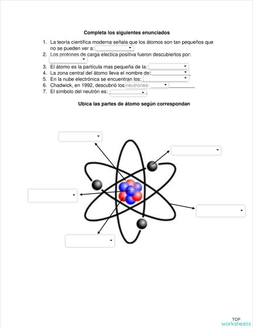 EL NUCLEO Y SUS PARTES. Ficha interactiva | TopWorksheets