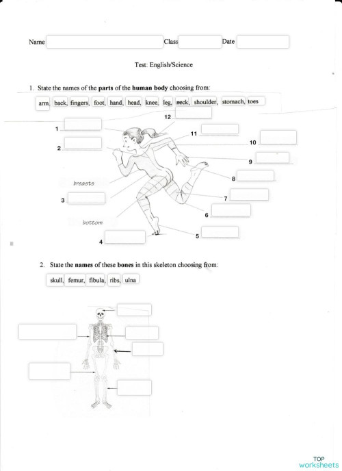 Test: English/Science. Scheda interattiva | TopWorksheets