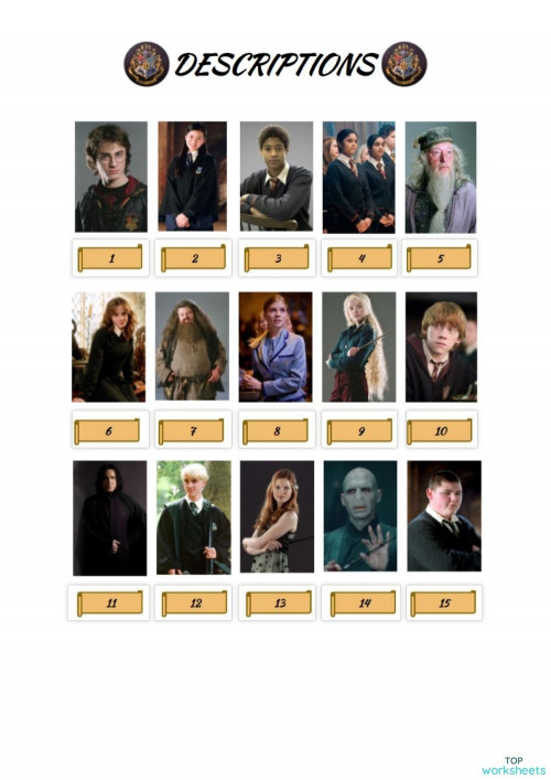DESCRIPTIONS HARRY POTTER. Interactive worksheet | TopWorksheets