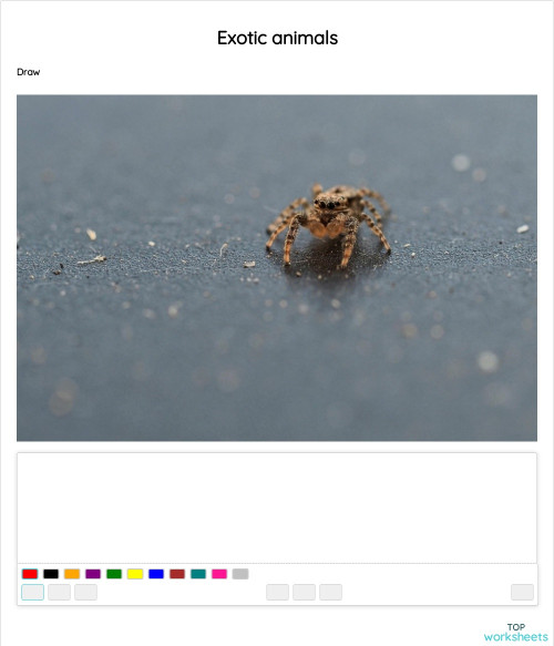 Exotic animals. Interactive worksheet | TopWorksheets