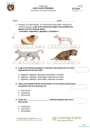 Complementary activity science 3rd grade. Interactive worksheet ...
