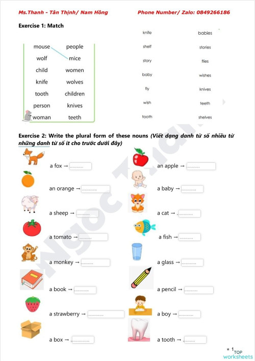 Plural nouns - Basic Practice. Interactive worksheet | TopWorksheets