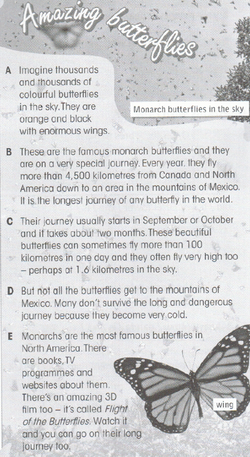 English PLus 1 - Unit 3 - Writing Task. Interactive worksheet | TopWorksheets